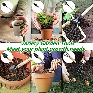 Small Garden Tools, 6 Pcs Mini Garden Tools Set, Cute Gardening Tools, Home Indoor Tiny Kids Gardening Tools Succulent Tool Kit, Plant Potted Flower Garden Tool Wood Handle for Plant Care Transplant