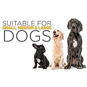 maxxipaws UTI Calm Bundle – maxxiUtract Urinary and Bladder Support for Dogs & maxxicalm Canine Calming Supplement