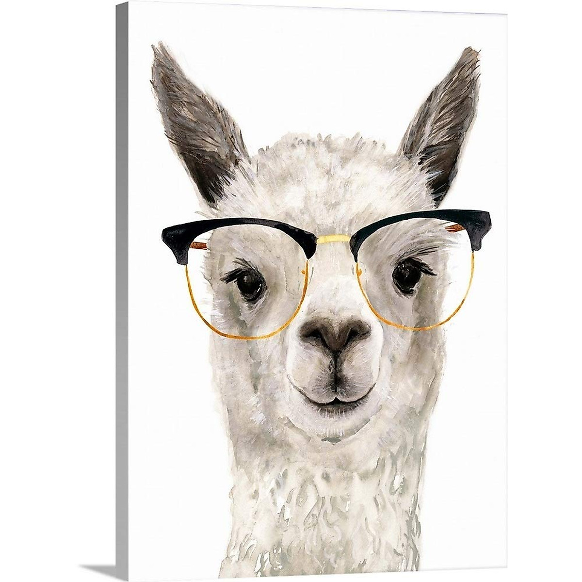 3 Piece Hip Llama Canvas Wall Art Print Set, Animal Home Decor