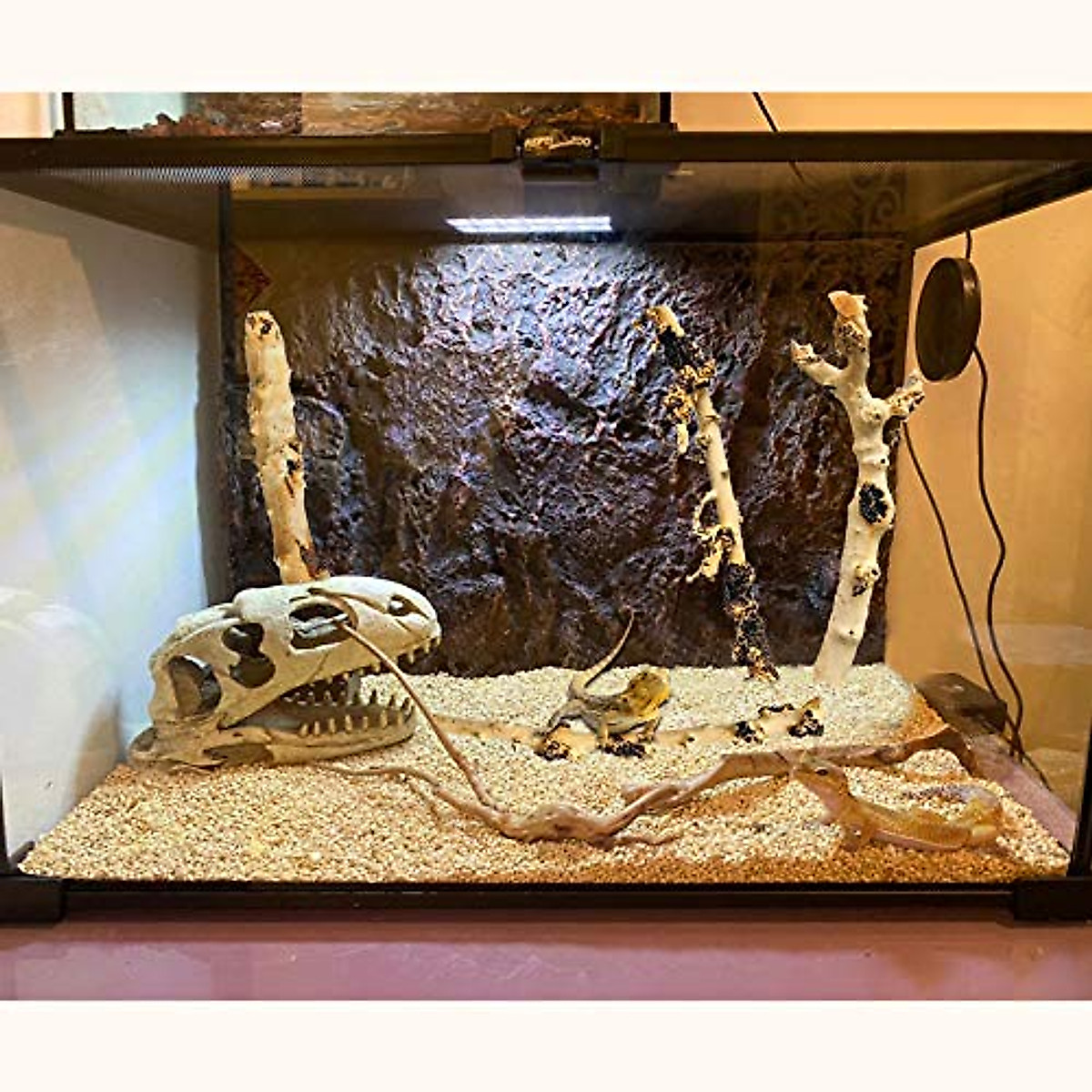 Tfwadmx Aquarium Driftwood Natural Forest Branch Trees Terrarium Wood Tree Reptile Branches Ornament Habitat Fish Tank Decoration(4 Pcs)