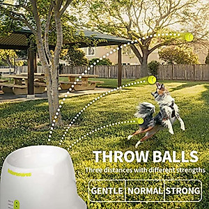A1PETS Automatic Dog Ball Launcher/Automatic Ball Launcher for Pets/Interactive Puppy Pet Ball Indoor Thrower Machine/Fetch Machine for Small and Medium Size Dogs / 3 Balls Included