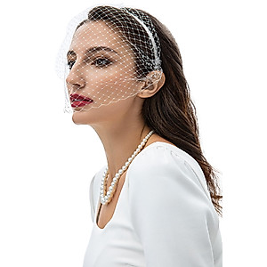 BABEYOND 1920s Flapper Fascinator Mesh Veil Headband Bridal Wedding Tea Party Fascinator Veil for Women