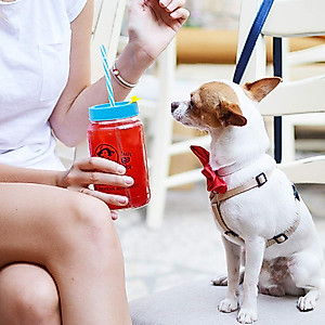 Regular Mouth Mason Jar Lids with Straw Hole/ Stoppers/Silicone Rings/Cleaning Brush, Rust-proof, BPA Free Plastic Canning Lids, Great for Drinking & Food Storage(26 Pack)