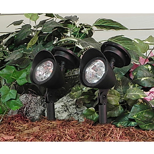 Sterno Home GL23836BK2 Paradise Solar LED 3 lumens Plastic Spot Light, 2-Pack, Black, 2 Count