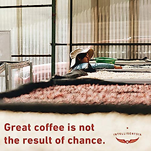 Intelligentsia Coffee, Light Roast Ground Coffee - House 12 Ounce Bag with Flavor Notes of Milk Chocolate, Citrus, and Apple