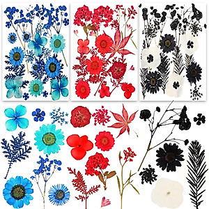 OECOO 285PCS Small Dried Pressed Butterfly Sticker Flower for Resin,Real Nature Pressing Floral Leaves for DIY Craft, Mold, Jewelry Making, Candle Scrapbooking Supplies