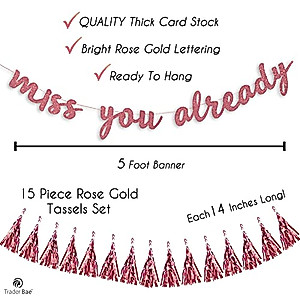 Going Away Party Decorations Kit |"Miss You Already!" Banner | 10 Going Away Party Photo Booth Props | Rose Gold Tassels | 10 Rose Gold Confetti Balloons 5 Rose Gold Balloons