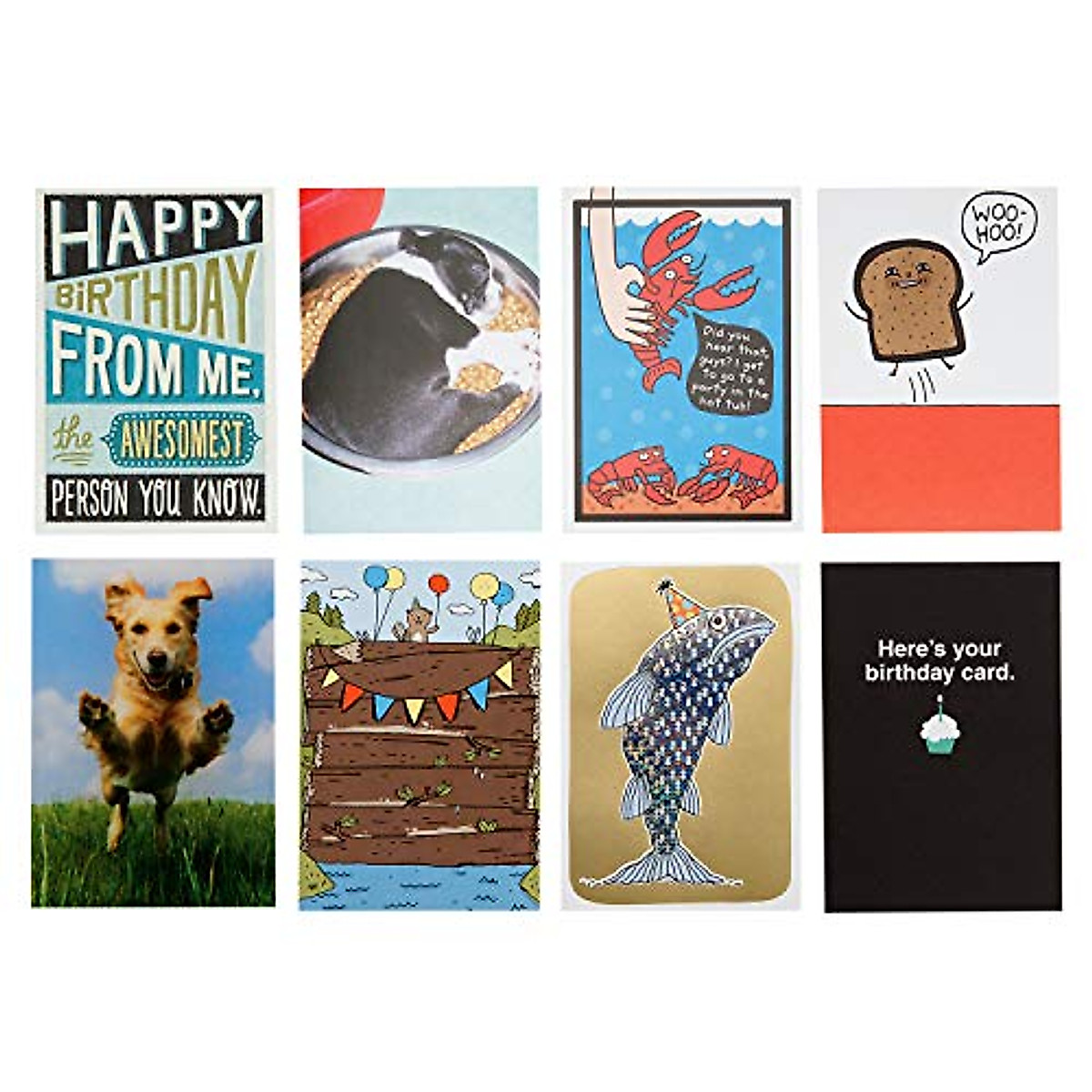 Hallmark Shoebox Funny Birthday Card Assortment (8 Cards with Envelopes) (2199RZG1003)