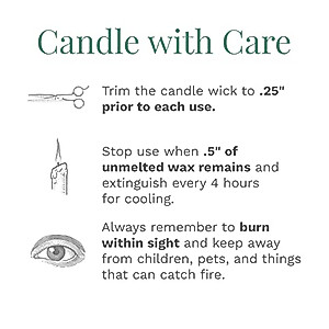 Candle-lite Premium Eucalyptus Lily Scent, 14 oz. 3-Wick Aromatherapy Candle with up to 45 Hours of Burn Time, Green