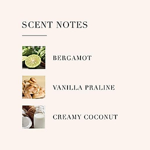 Le Monde Gourmand Lait de Coco Natural Soy-Wax Blend Candle - 14 oz - Fresh, Creamy, Clean with Vanilla and Coconut Fragrance Notes