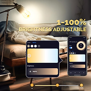 MOES Smart ST64 Edison LED Light Bulbs, Color Changing WiFi ST21 Smart Bulbs, 2700K-6500K CW& RGB Dimmable, Smart Life Remote Control, Work with Alexa/Google Home, 470lm 5W (40W Equivalent) 2 Pack