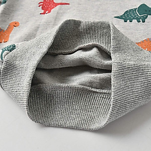 Toddler Infant Baby Boy Clothes Colored Dinosaurs Long Sleeve Hoodie Tops Sweatsuit Pants Outfit Set (12-18 Months)