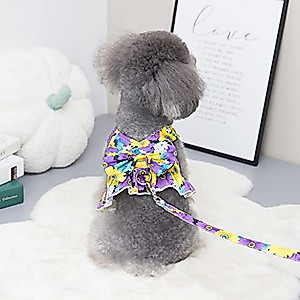 Pet Clothes for Small Dogs Girls Dress Puppy Clothes Bow Tie Belt Belt Skirt Princess Skirt Dog Can Hang Belt T-Shirts for Medium Dogs Easter