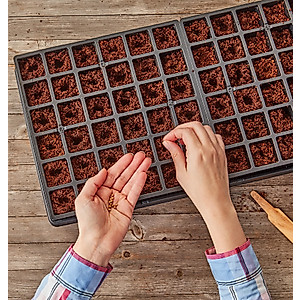 Burpee Self-Watering Seed Starter Tray, 72 Cells