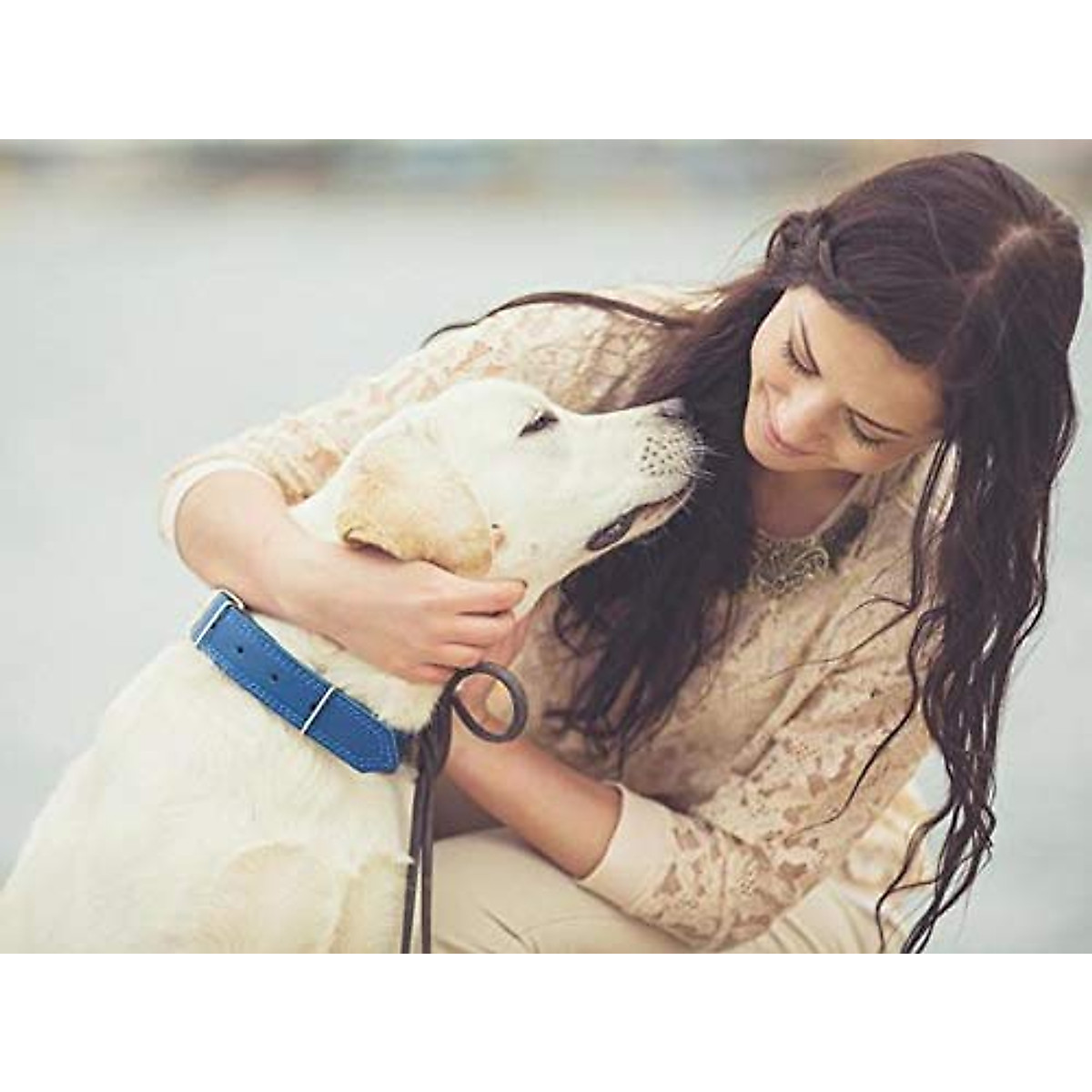 dog treats to help with bad breath - DOG DIGESTIVE AID PROBIOTICS - NATURAL APPROACH - SOLUTION TO BAD BREATH AND GAS - COUNTER DIARRHEA - acidophilus probiotic for dogs - 2 Bottles (120 Treats)