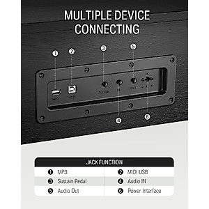 Donner DDP-90 Digital Piano, 88 Key Weighted Piano Keyboard for Beginner/Professional W/Three Pedals, Supports U-disk Music Playing, PC/Tablet/Cell Phone Connecting, Audio In/Output