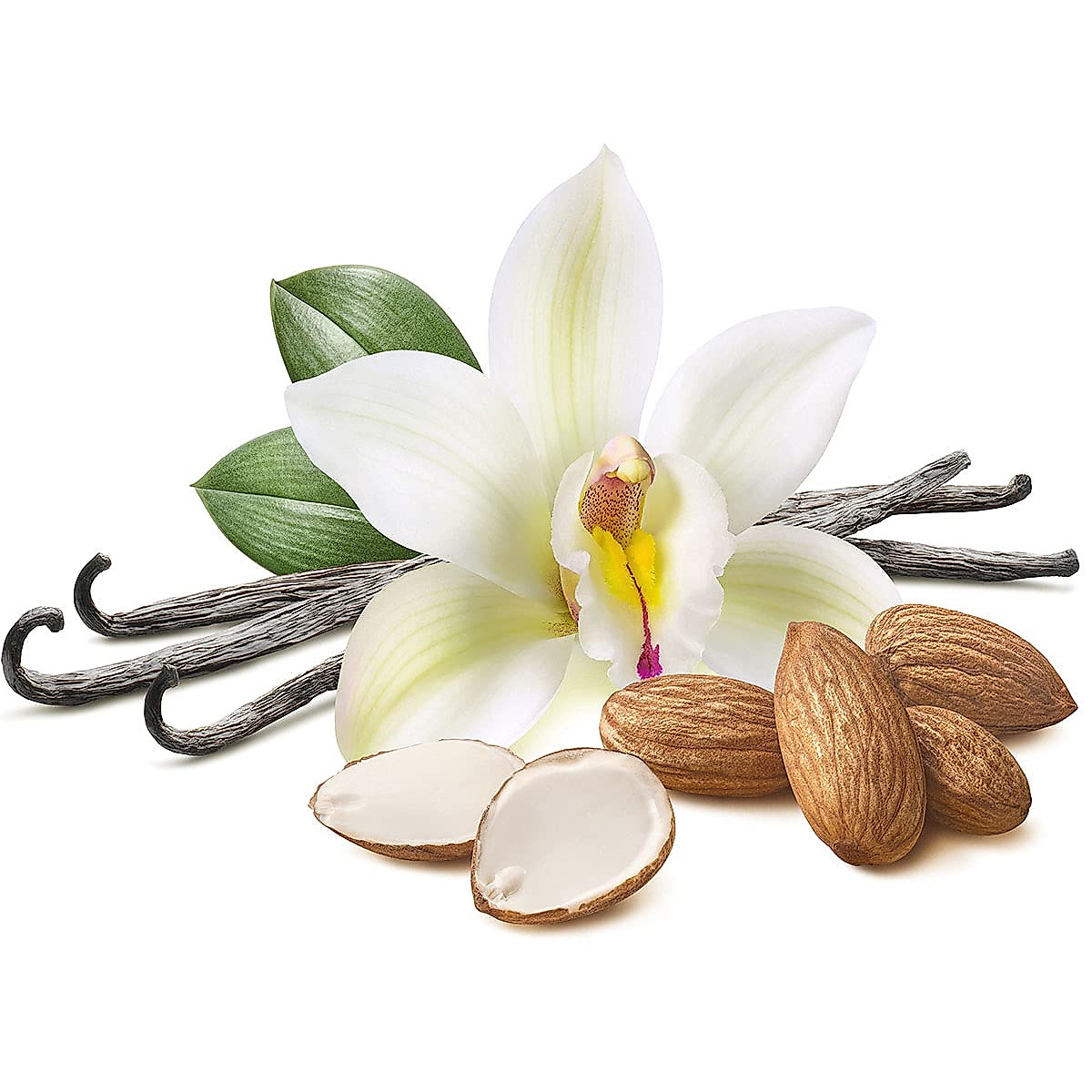 Sweet Almond Scented Lone Star Candles and More Hand Poured 100 Percent Soy Wax Candle, An Exciting Combination of Almond and Sweet Vanilla, 9 oz Round Glass Jar, USA Made