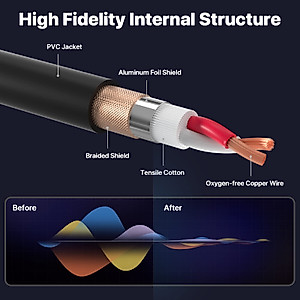 EBXYA USB Guitar Cable 10 Ft, Gold Plated 1/4 Inch Plug to USB Interface Cable Professional Guitar Bass to PC USB Recording Cord Adaptor 3M/10 Feet