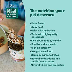 Pet Delicia Natural Dog Food 11.3oz (320g) Can (Beef Risotto)