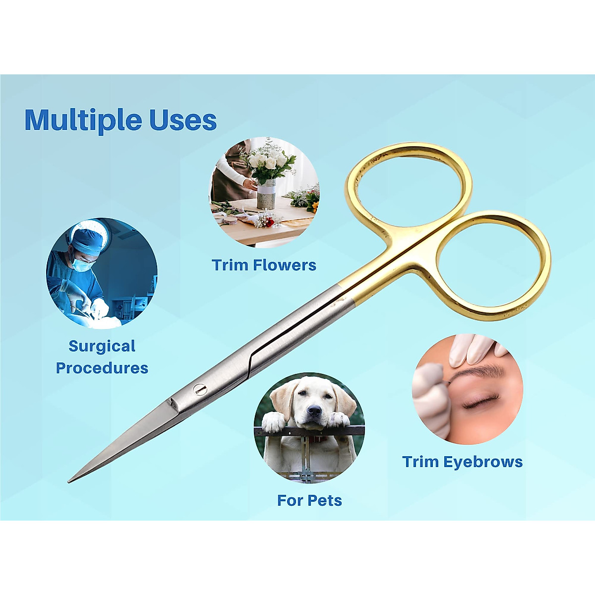 Scissors 4.5 inch Straight Gold Plated handle Dental Surgical art & craft BY Wise Linkers