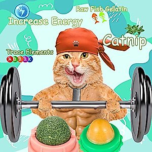 Skylety 12 Pieces Catnip Balls for Cats Wall and Cat Snacks Candy Silvervine Catnip Wall Balls Cat Snack Licking Sugar Ball Cat Treats Catnip Candy Treats Lickable Candy Cat Edible Chew Toy