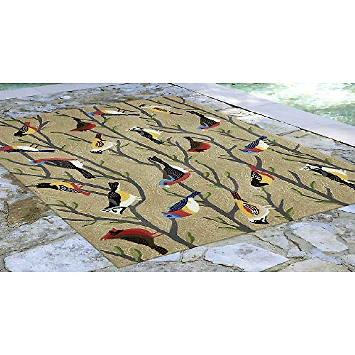 Liora Manne Frontporch Indoor/Outdoor Rug, 3 ft 6 in x 5 ft 6 in, Birds Multi