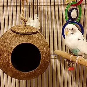 kathson Natural Coconut Shell Bird Nest,Hanging Coco Birds House,Parrots Hide Hut Habitats Decor,Parrot Cage Accessories for Lovebirds Cockatiel Canary Budgies,Feeder Spoon,4 Toy Balls(6 Pcs)