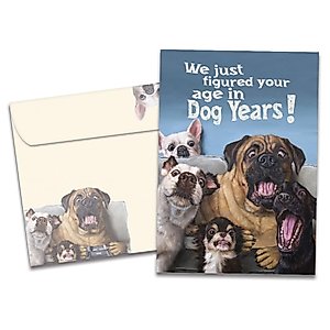 Tree-Free Greetings - Humorous Birthday Cards - Artful Designs - 1 Card + Matching Envelopes - Made in USA - 100% Recycled Paper - 5"x7" - Dog Years (GO61211)