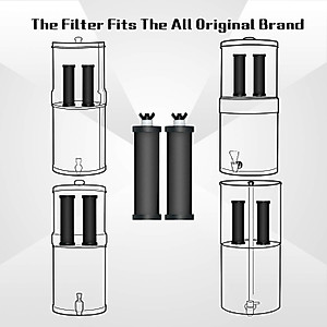 Purewell BB8-2 - Black Purification Elements