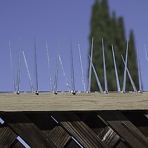 Bird B Gone Enviro-Spike Bird Spike, True 10-Feet, MADE IN THE USA