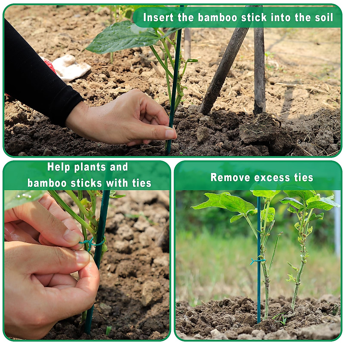 PERSZEN Plant Stakes 50 PCS Garden Green Bamboo Sticks Plant Support Stakes for Indoor and Outdoor Plants, Wooden Sign Posting Flower Pot Garden Stakes(15" 25pcs+17" 25pcs)