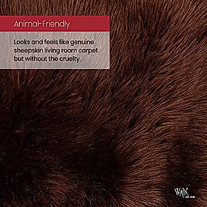 Silky Soft Faux Fur Rug, 3 ft. x 5 ft. Brown Fluffy Rug, Sheepskin Area Rug, Shaggy Rug for Living Room, Bedroom, Kid's Room, or Nursery, Home Décor Accent, Machine Washable with Non-Slip Backing