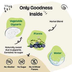 Vision Supplement for Dogs - Eye Tincture for All Breeds & Sizes - Eye Supplements for Dogs w/Bilberry & Eyebright Herb - Liquid Vitamins and Supplements for Eye Care and Vision - 4 oz