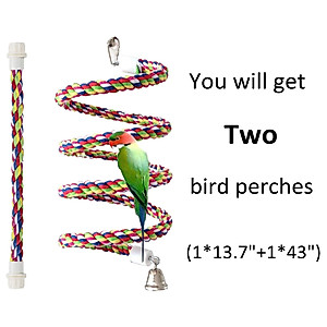 Petsvv Rope Bungee Bird Toy, Small