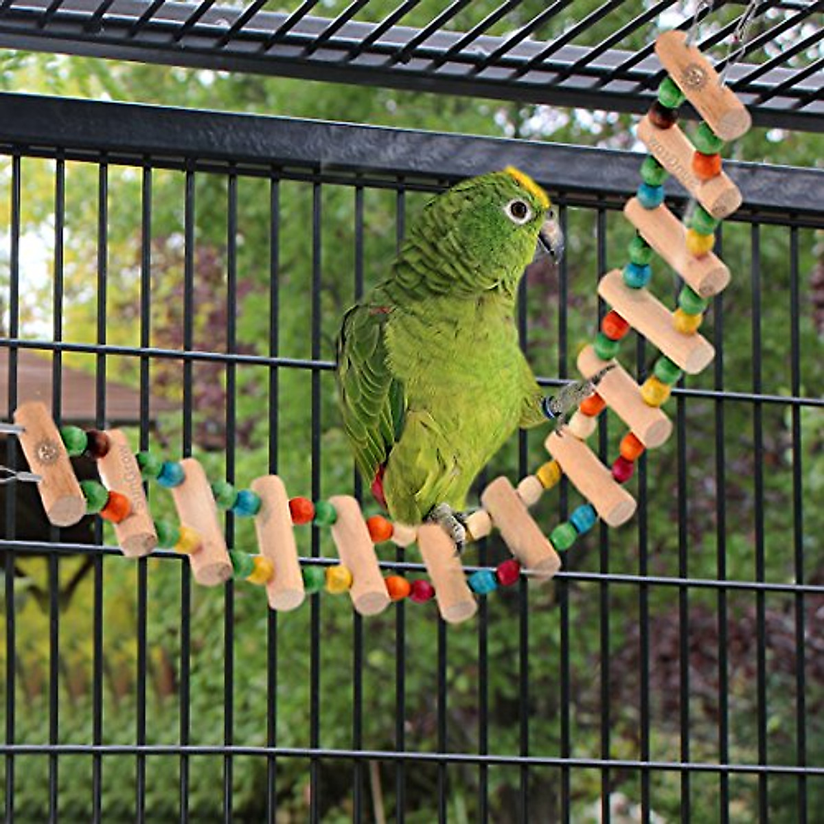 SunGrow Bird Ladder Bridge, 20 x 3 Inches, Raw Wood and Edible Dye, Suitable for Small to Medium Birds, 1 Piece