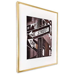 TheDisplayGuys - Contemporary Aluminum Picture Frame - Tempered Glass - 16x20 matted to 11x14 - Gold - Wall Hanging