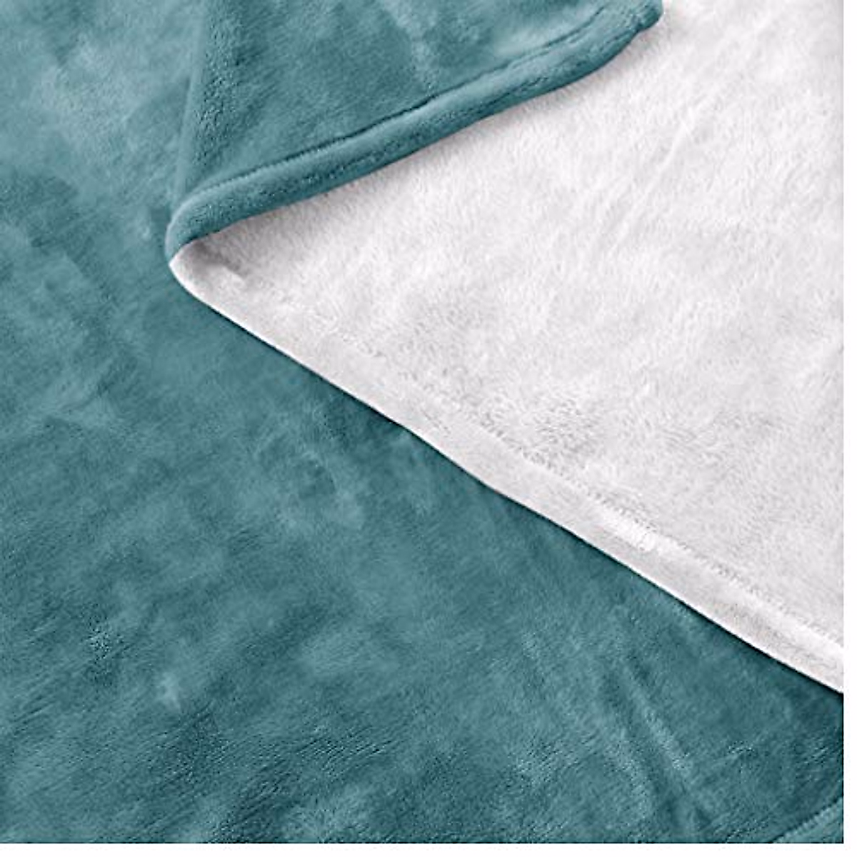 OAKSTORE I'm A Math Teacher Soft Fleece Throw Blanket, Gift for Teacher Blanket for Bed and Couch (Medium Fleece Blanket (60"x50") - Green Pistachio)