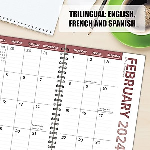 Willow Creek Press, Cardinals Weekly 2024 Pocket Planner Exclusive