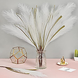 Artflower Artificial Pampas Grass, 6Pcs 39.3" Faux Pampas Branches Tall Reed Grass Decor Fake Reed Phragmites Plants Boho Home Decor Bunches for Home Wedding Party Decor(White)