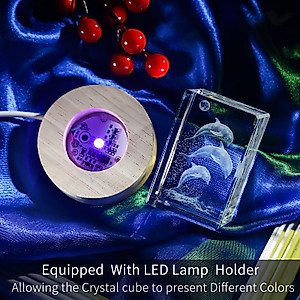 YouerCrystal 3D Crystal Dolphin Figurine Night Light with LED Light Base, Birthday Gift for Kids Women Unique, Thanksgiving Christmas Valentines Anniversary Birthday Gifts for lovers (3D-Dolphin)