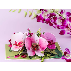 TRUANCE Pop Up Orchid Flower Mother Day Card- 3D Cards For Birthday, Anniversary, Thank You Cards, Card for Mom, Congratulation Card, Love Card, All Occasion