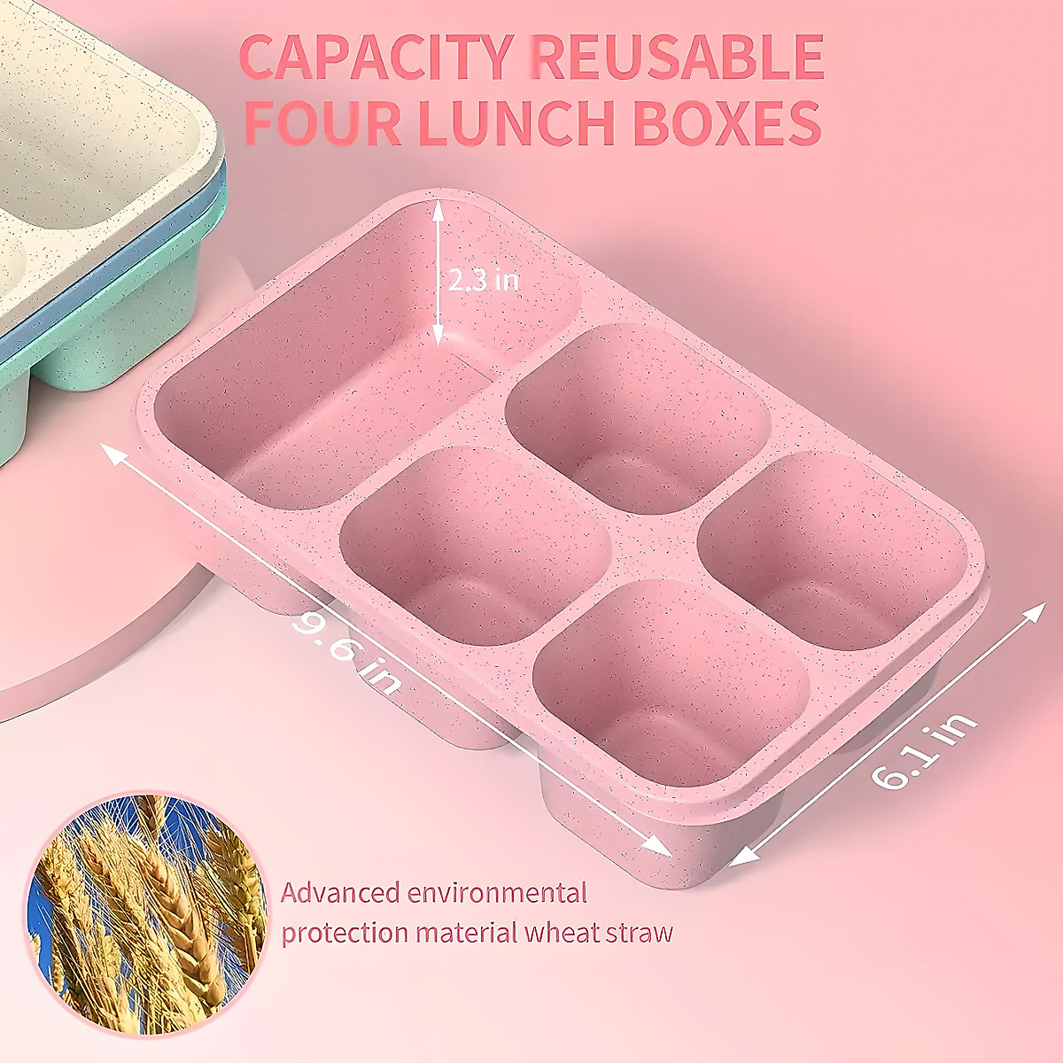 box2go Bento Box Adult Lunch Box [4 Pack], 5-Compartment Meal Prep Container for Kids, Reusable Food Storage Containers with Transparent Lids, No BPA, Microwaveable [Wheat Green/Blue/Pink/Beige]