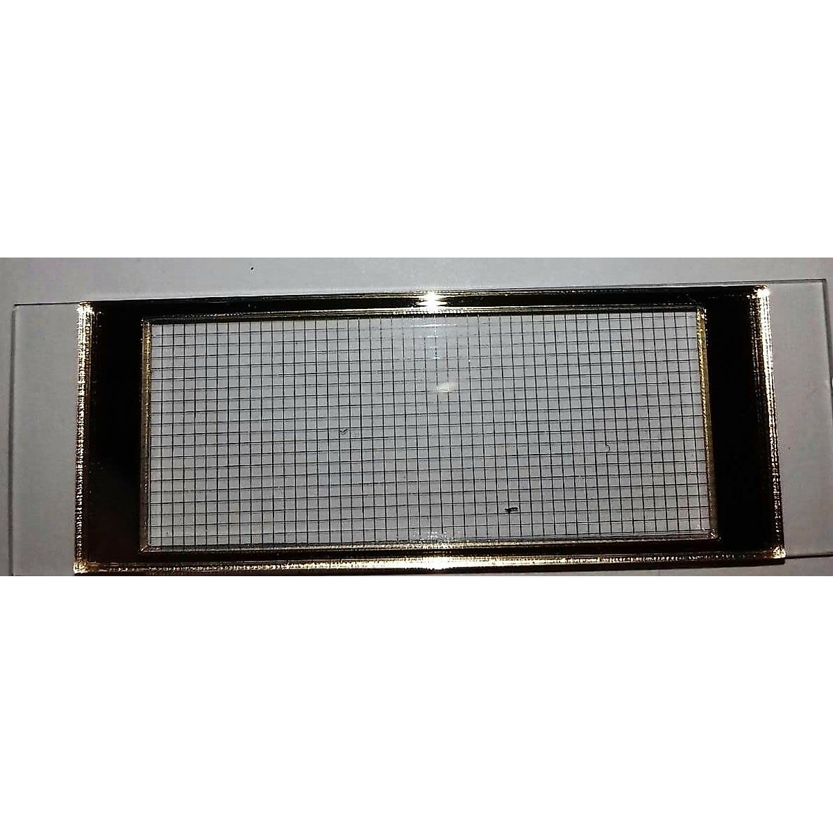 Yantra Gridded Sedgewick-Rafter Counting Cell with Case - Few GRIDS Missing