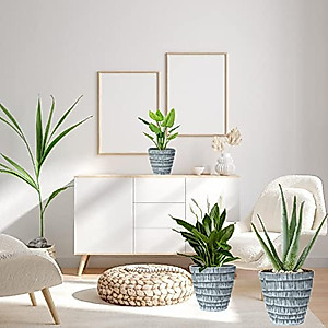 Plant Pots, 7.5/6.5/5.5 Inch Set of 3 Planters Flower Pots with Drainage Hole and Tray, Macetas Para Plantas Plastic Pots for Indoor Outdoor Plants