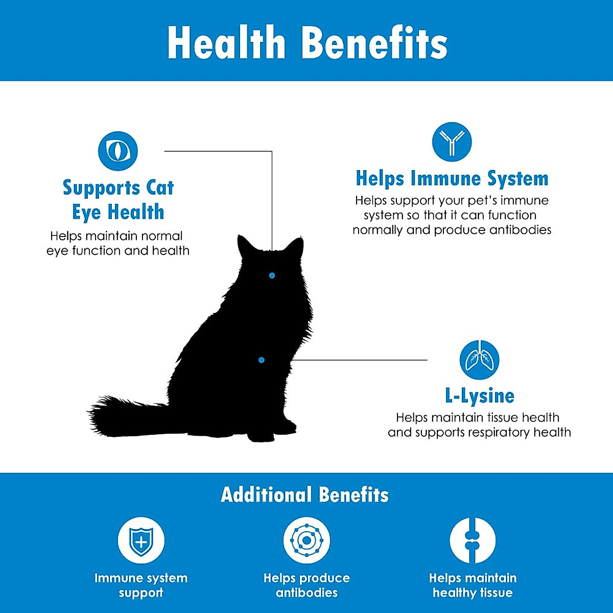 Felisyl Immune System Support for Cats - Amino Acid L-Lysine - Produce Antibodies - Healthy Tissue, Respiratory Health, Vision - 60 Soft Chews