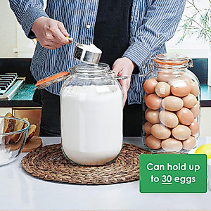 Qianfenie Glass Jars with Airtight Lids, 2 Pack - 1 Gallon Wide Mouth Storage Mason Jars with Hinged with 1 Replacement Silicone Gaskets for Fermenting, Canning, Preserving