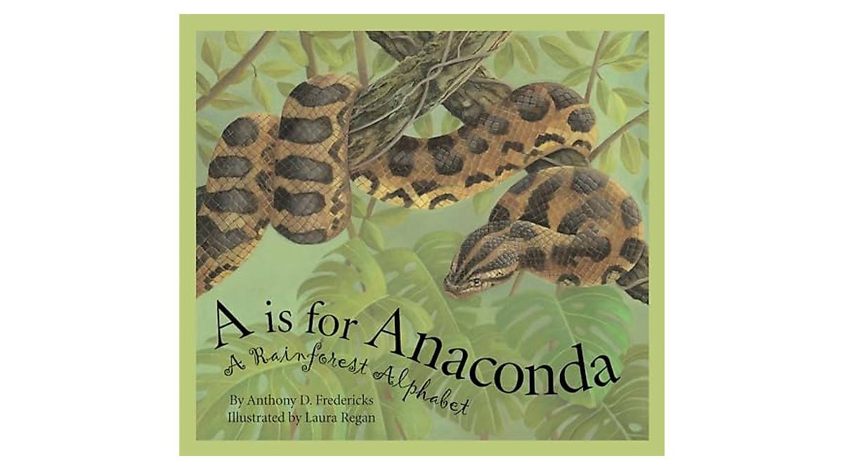 A is For Anaconda: Rainforest Alphabet Book for Kids