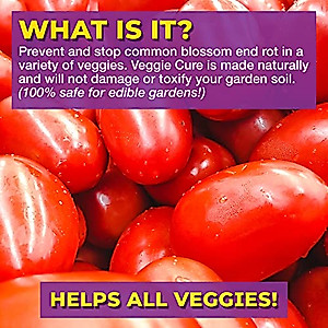 Veggie Cure by Bloom City, Blossom End Rot Solved for All Garden Plants & Vegetables (32 oz)