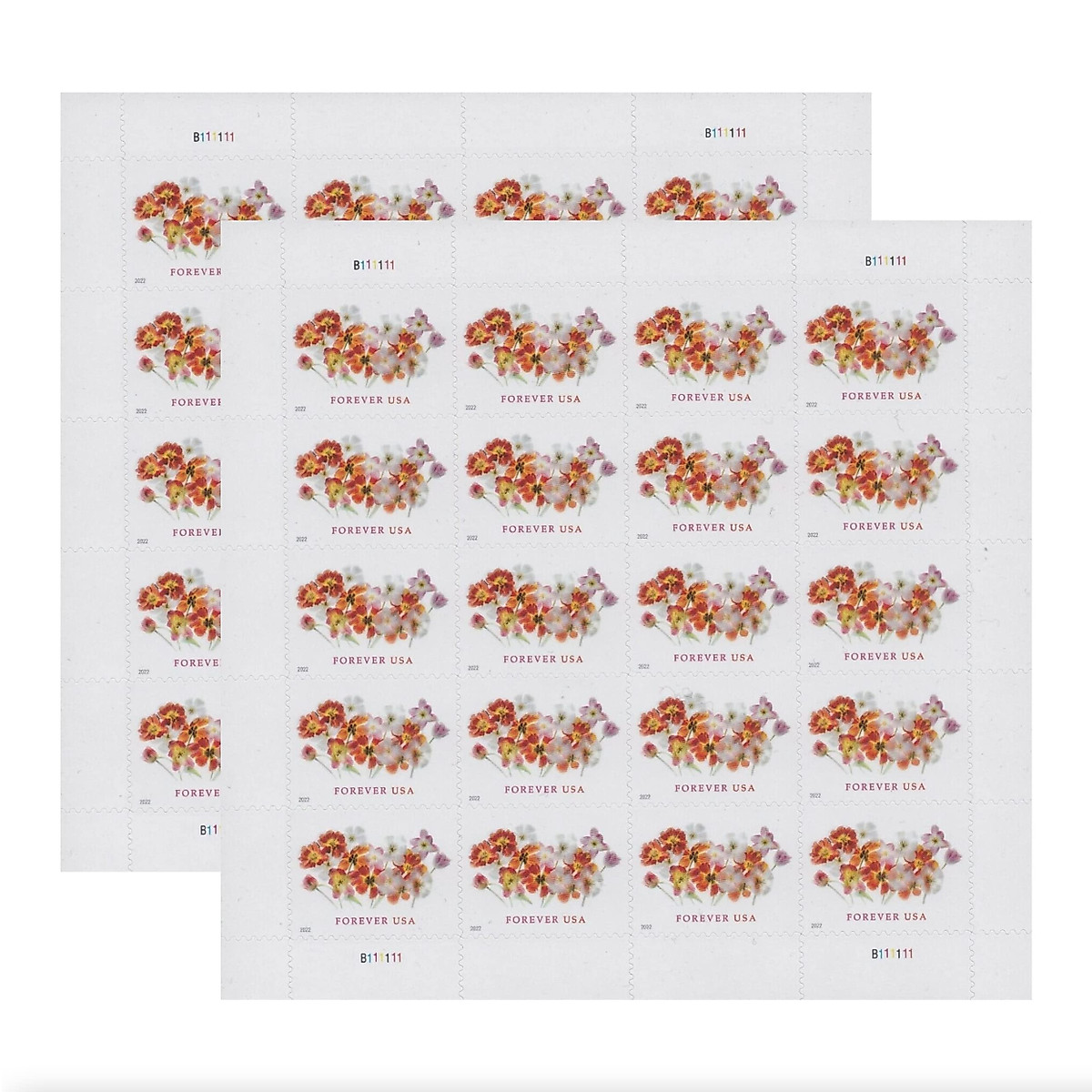 2022 Tulips Forever First Class Postage Stamps | Flowers, Garden, Love, Wedding Theme | (2 Sheets, 40 Stamps)