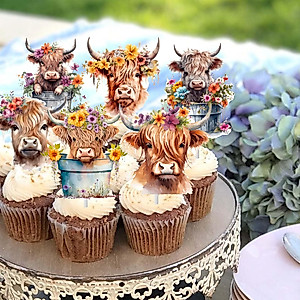 36Pcs Highland Cow Cupcake Toppers Highland Cow Birthday Decorations Highland Cow Party Supplies Highland Cow Cattle Cake Decorations for Farm Animal Birthday Party Baby Shower Supplies